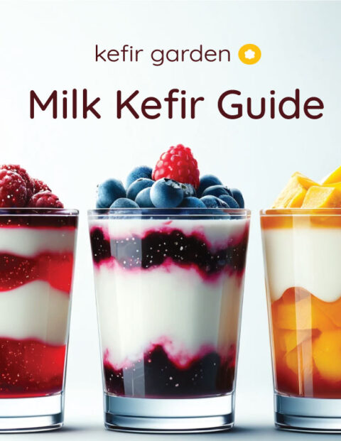 LIVE Active, Heirloom, Organic Milk Kefir Grains with Quick Start Guide ...